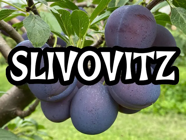 Discover the Exquisite Craft of Slivovitz: Eastern Europe's Plum Spirit ...